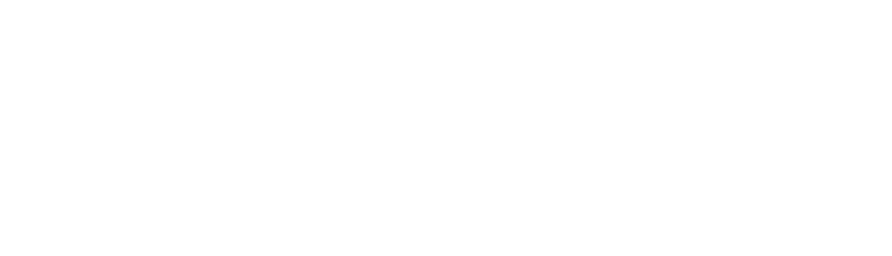 All-Inclusive Events | Tours & Entertainment | Soul Nation Events
